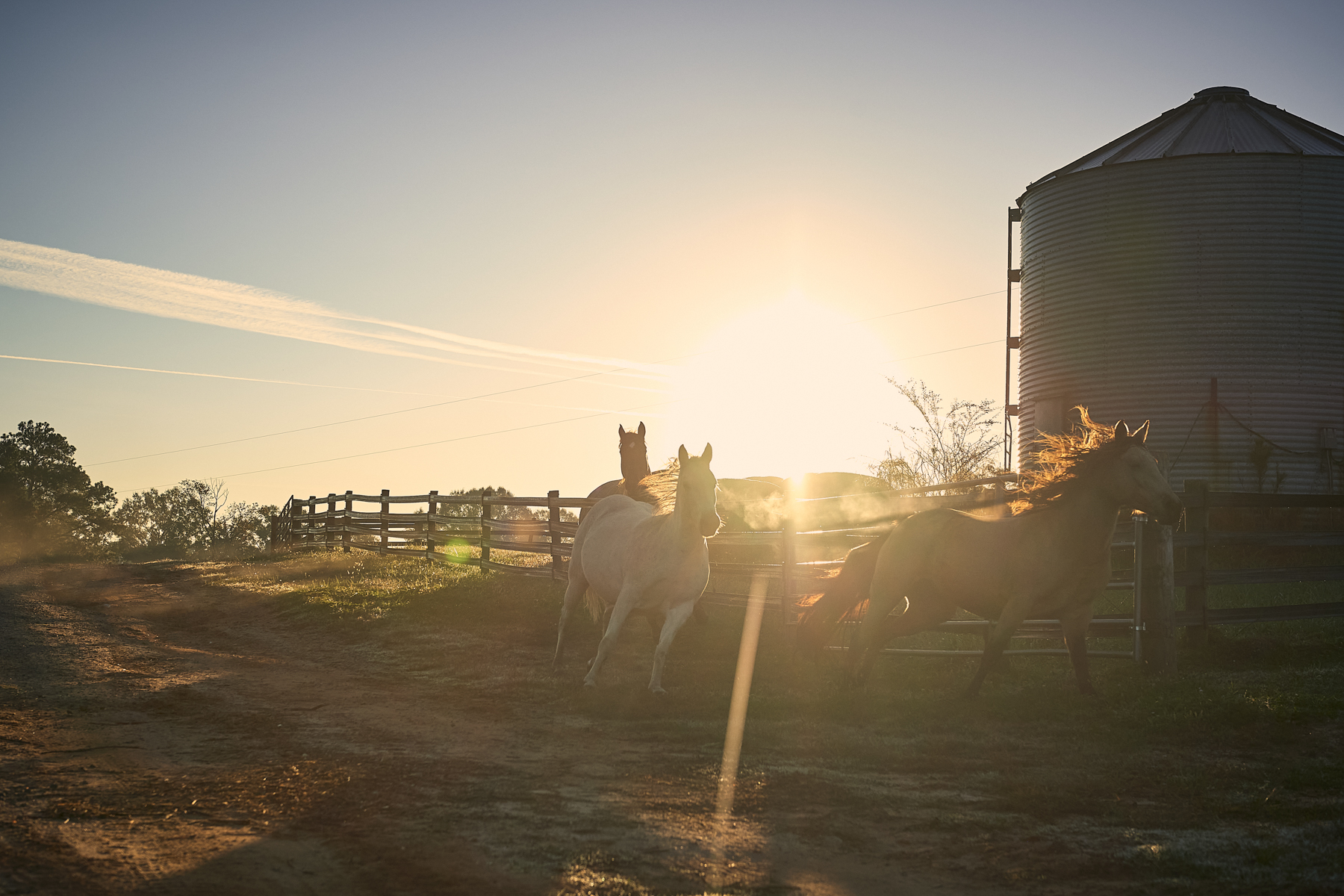 The World of Quercus | Luxury Resort and Guest Ranch | Atlanta, Georgia ...