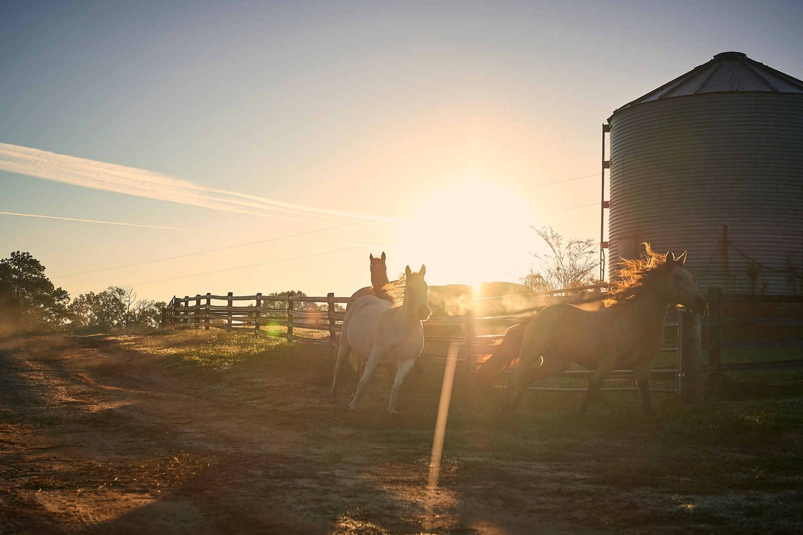 The World of Quercus | Luxury Resort and Guest Ranch | Atlanta, Georgia ...