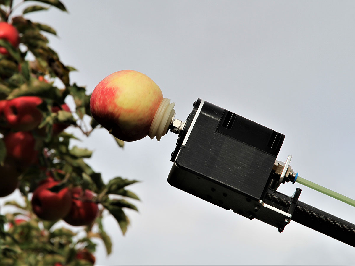 Homepage [www.roboausnet.com.au]