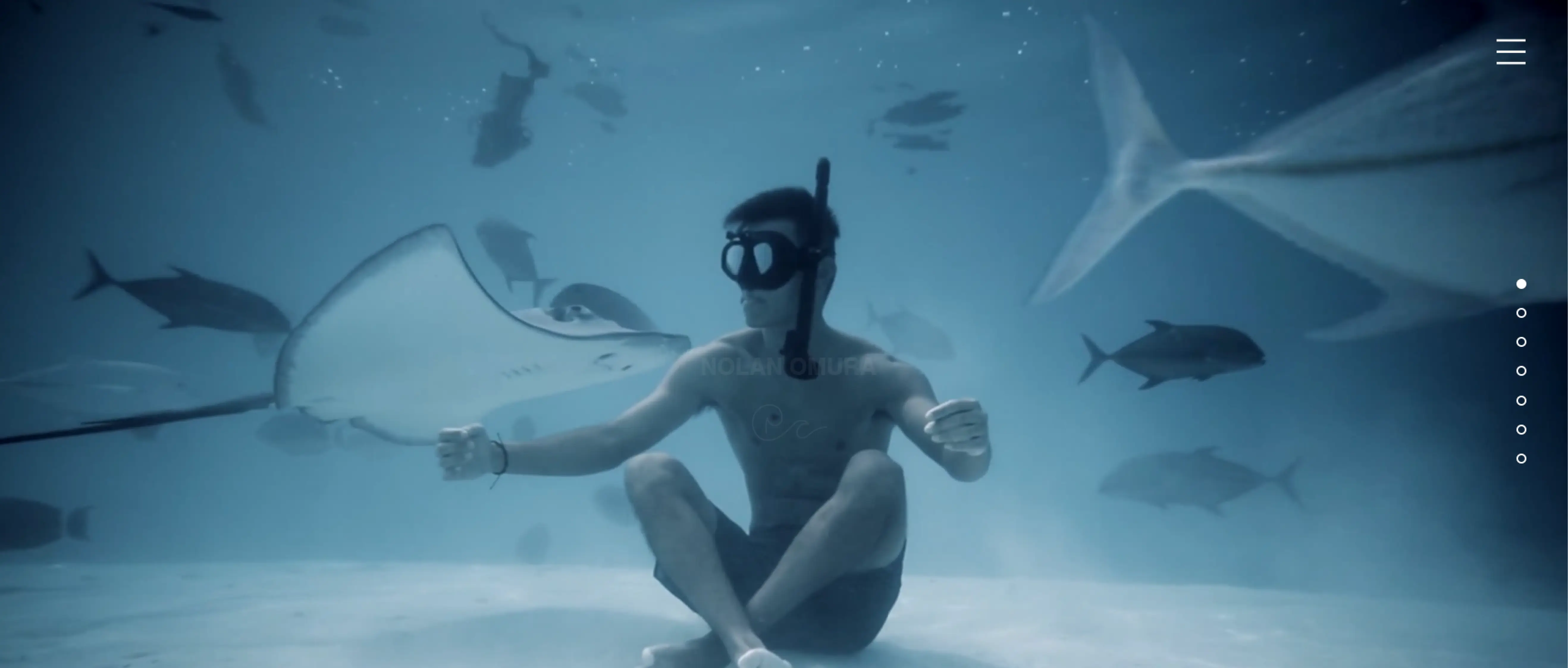 15 Website Scroll Animations for a Captivating Experience [Examples]