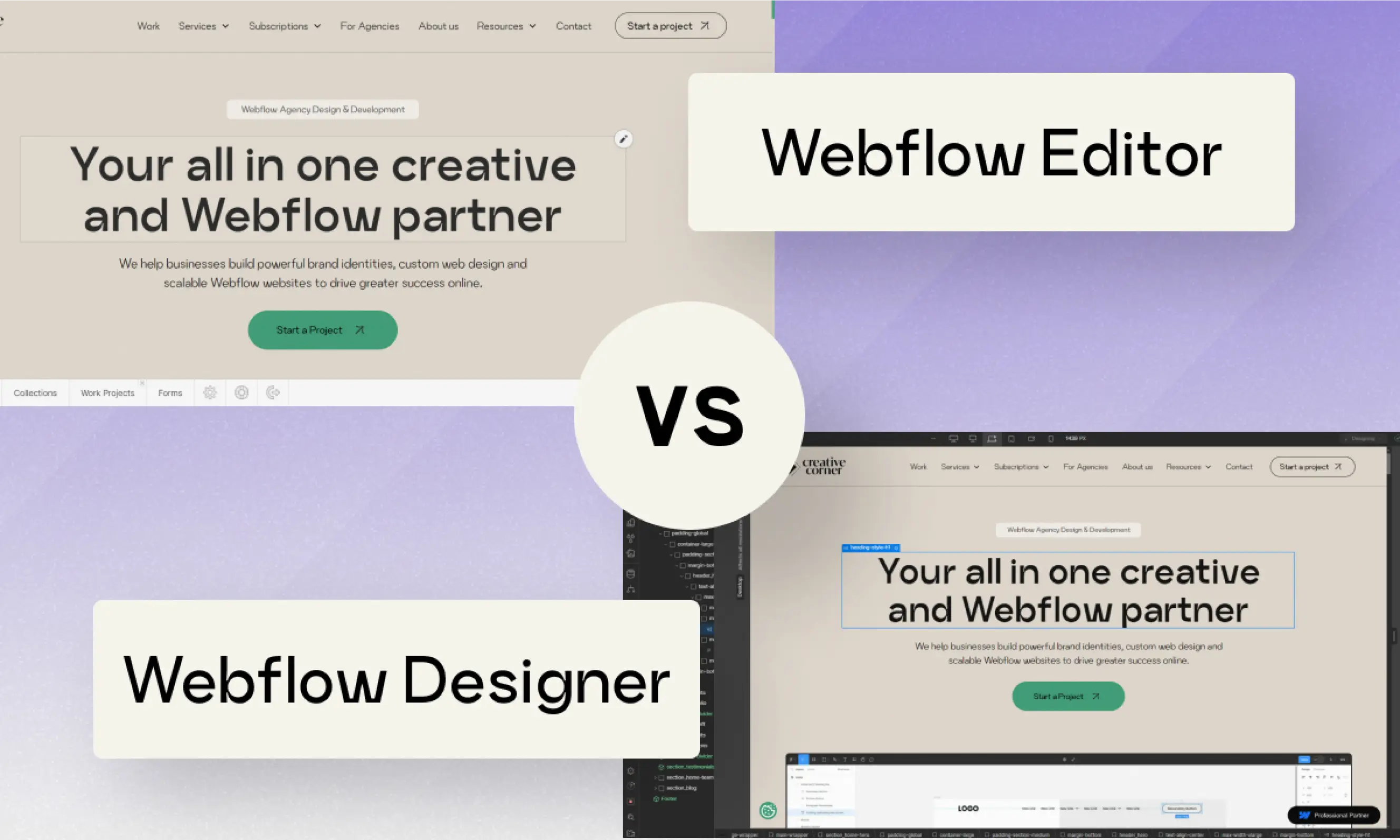 Webflow Editor vs Designer | What Is The Difference?