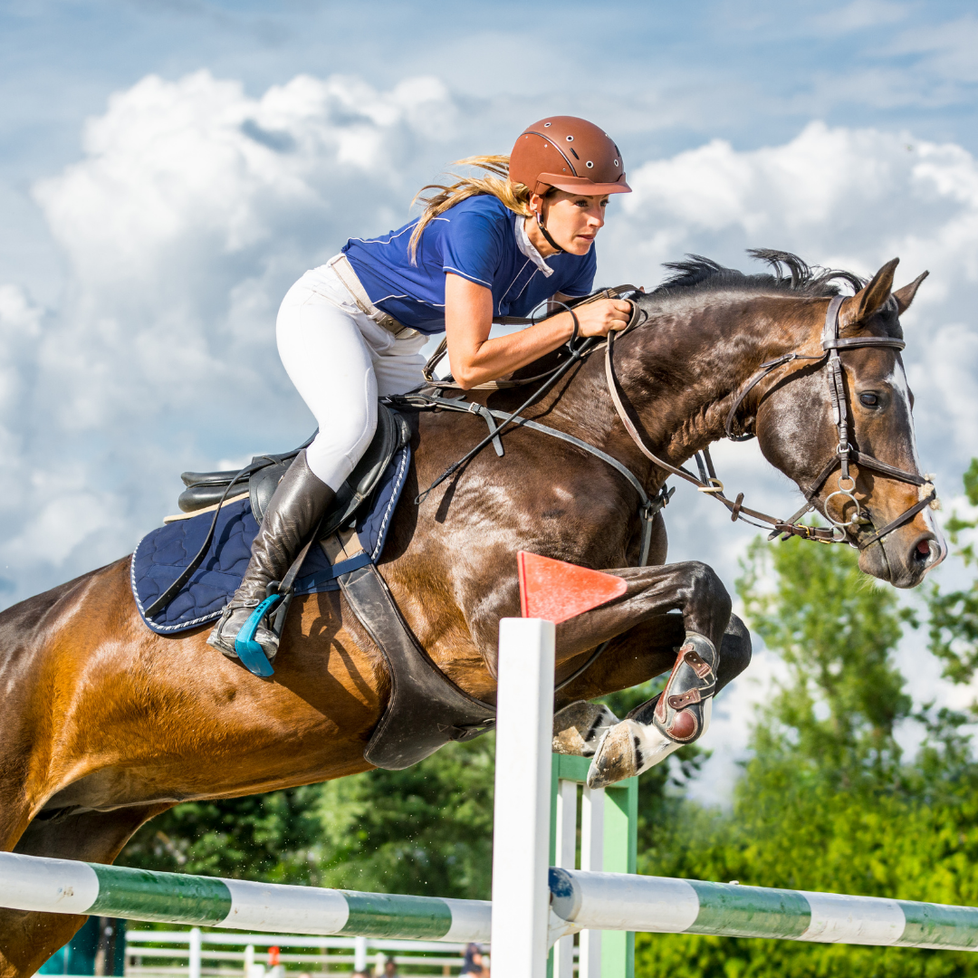 Waarom een hoefsmid belangrijk is voor je paard: het belang van ...