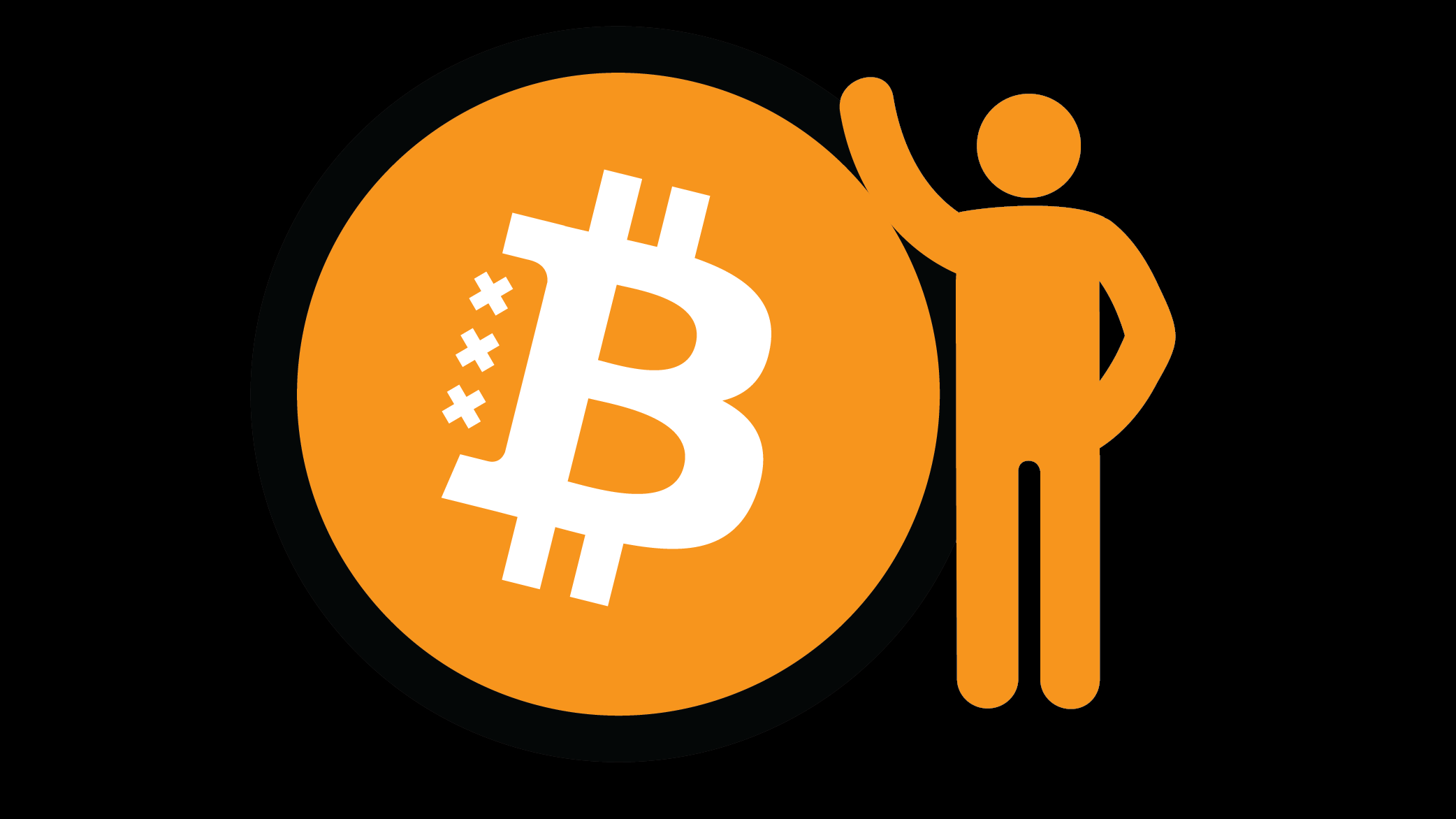 Official Bitcoin Logo