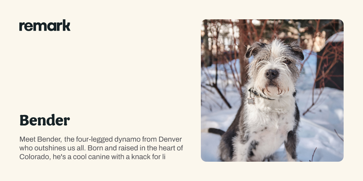 Bender - Remark - Product Guidance Made Easy for Online Stores