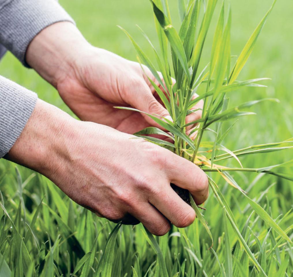 🌾🌾 fenaco - A secret giant with over 10,000 employees, 6 billion ...