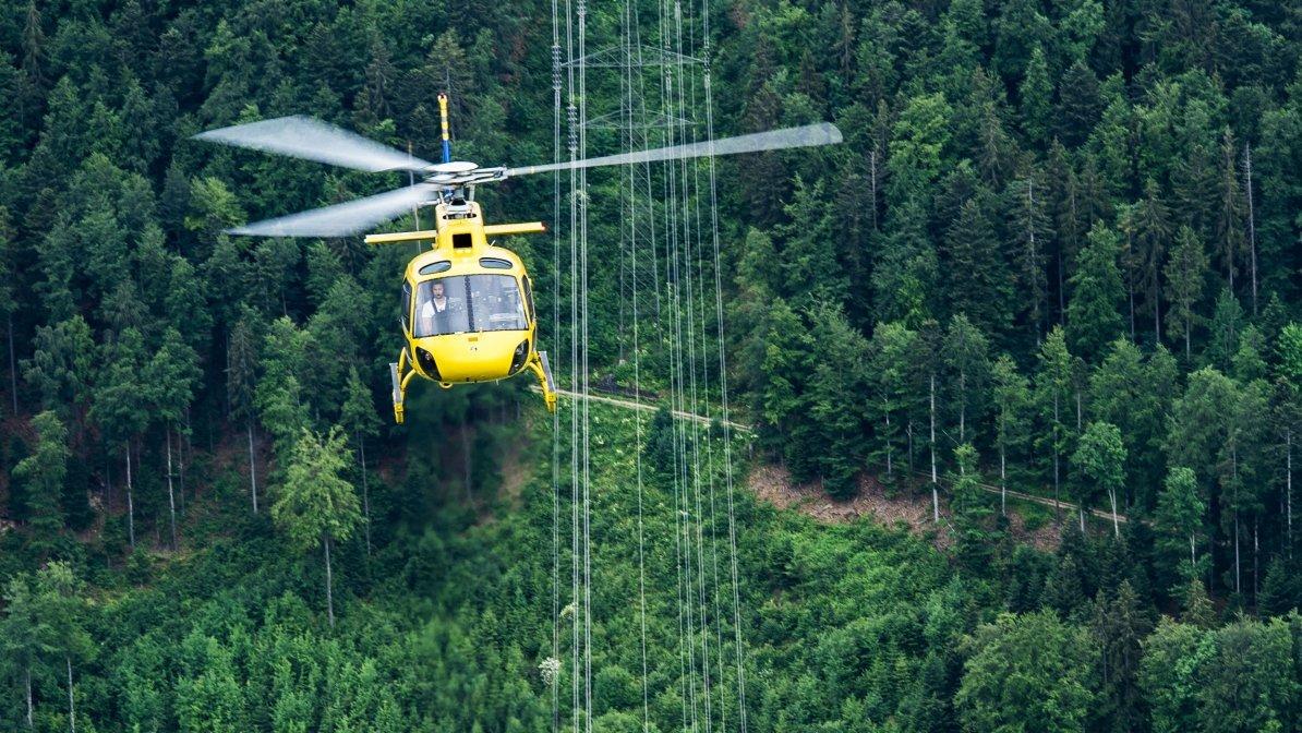 🪚🌳 Digitalisierung bei Swissgrid – Forst Teams punktgenau im Wald ...
