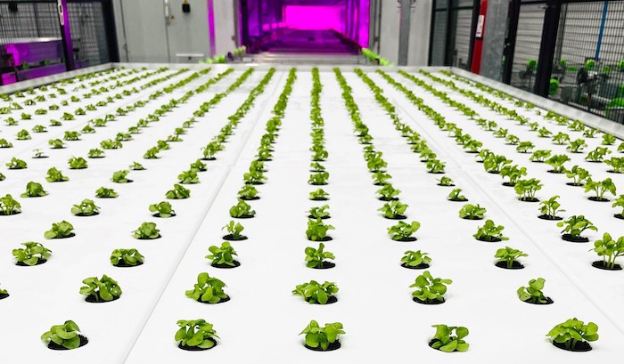 80 Acres Farms, société du Millésime de Private Equity Odyssey 2021.