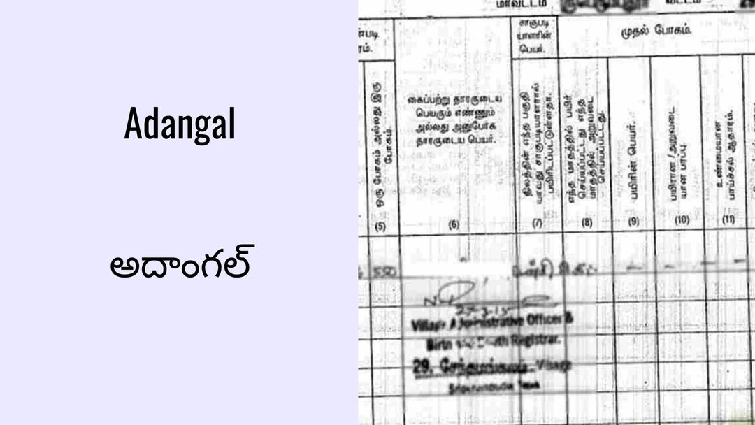 Andhra Pradesh - Download Adangal, EC | Landeed