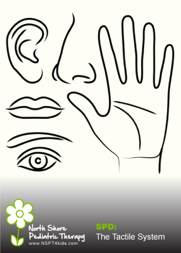 SPD: The Tactile System