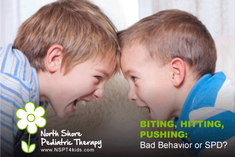 Biting, Hitting and Pushing: Bad Behavior or Sensory Processing ...