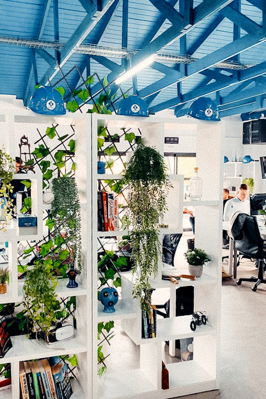 Software Maintenance | Maintain C Plus Plus Software