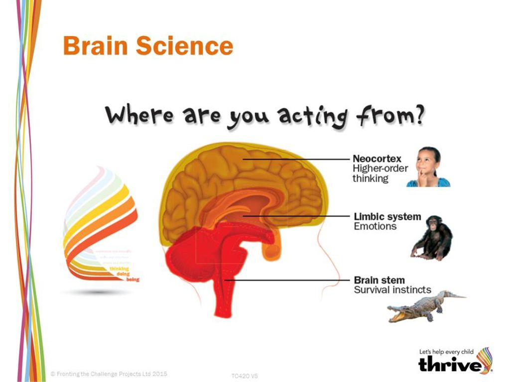Kippax Ash Tree Primary School