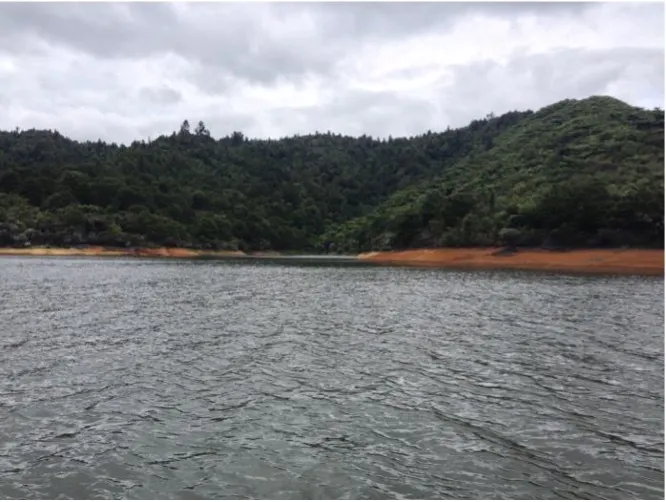 Dam Sediment Investigation of Wairoa Dam - eCoast