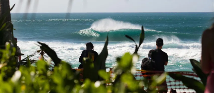 Offshore Focussing Multi Purpose Reefs Ecoast