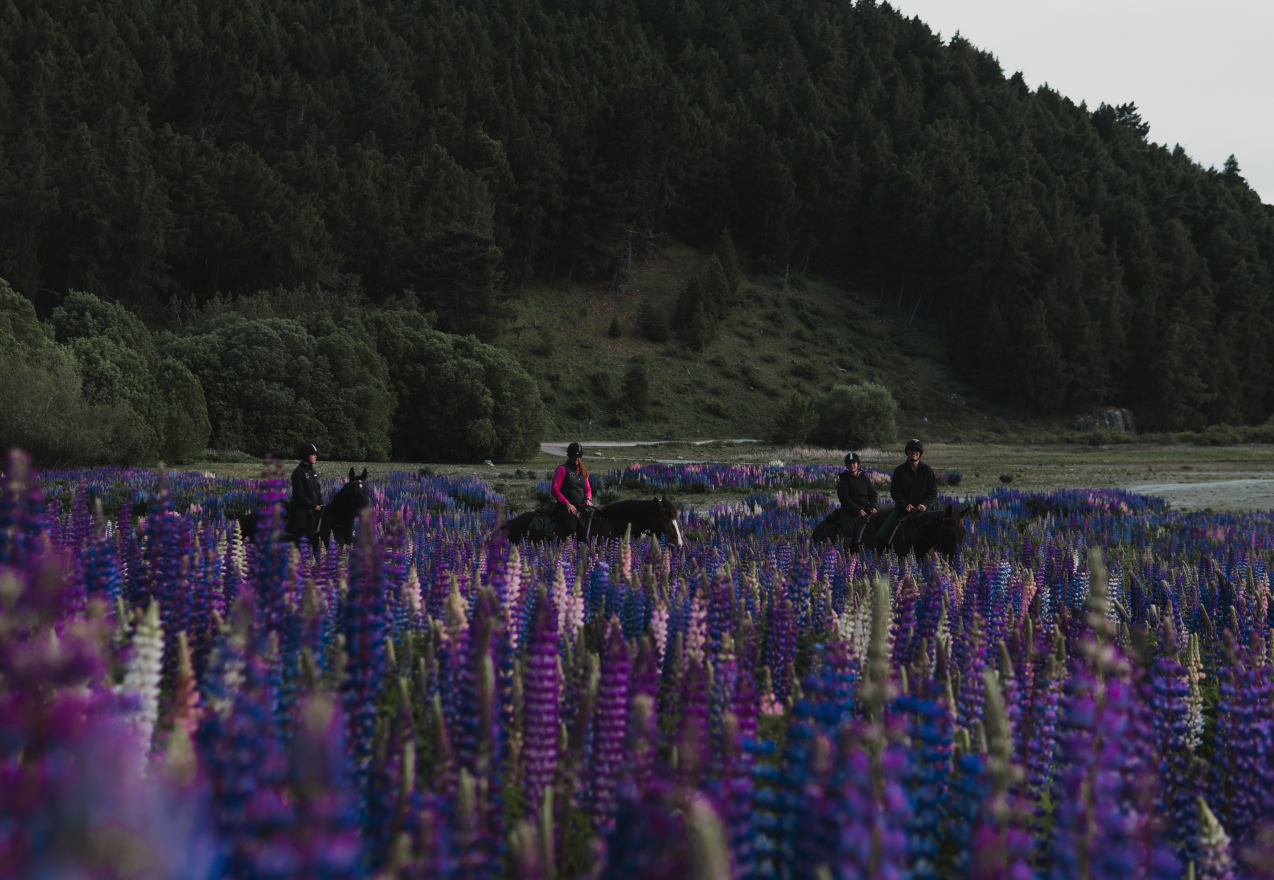 Activities in Lake Tekapo | Cairns Alpine Resort and Golf Club