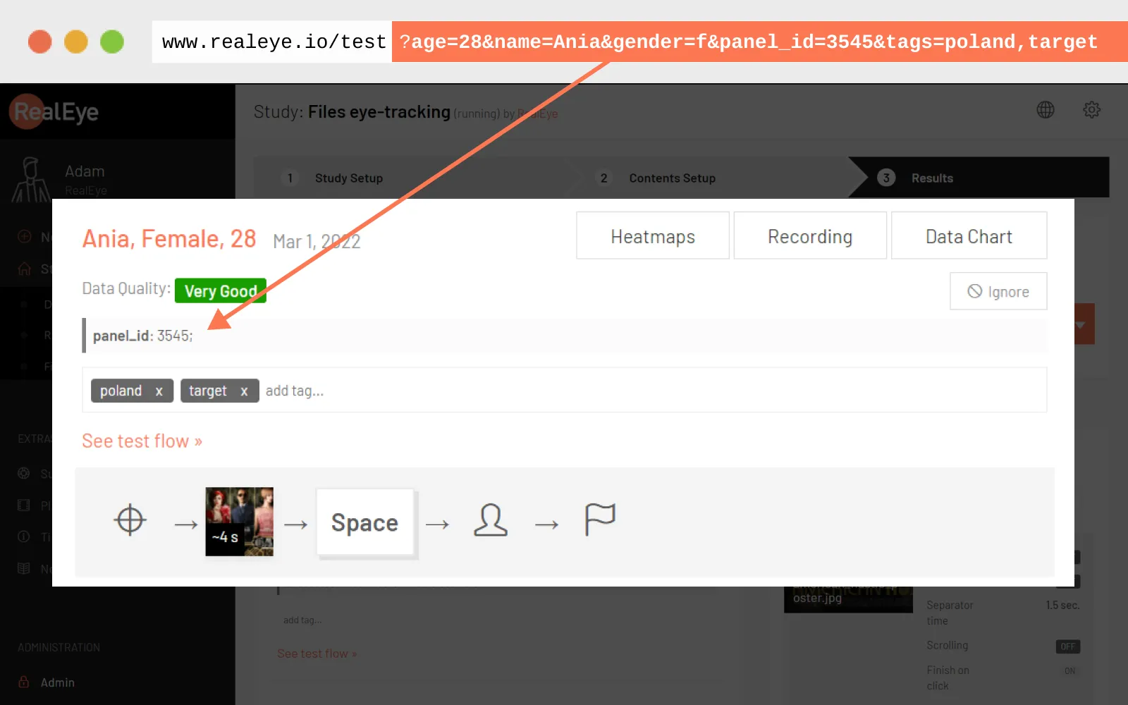 RealEye.io Dashboard: Study Creation, Fielding, Analysis