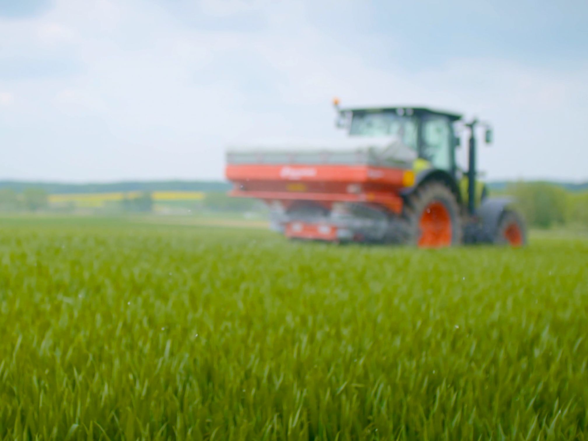 La qualité de la nutrition azotée conditionne l’état de santé végétal