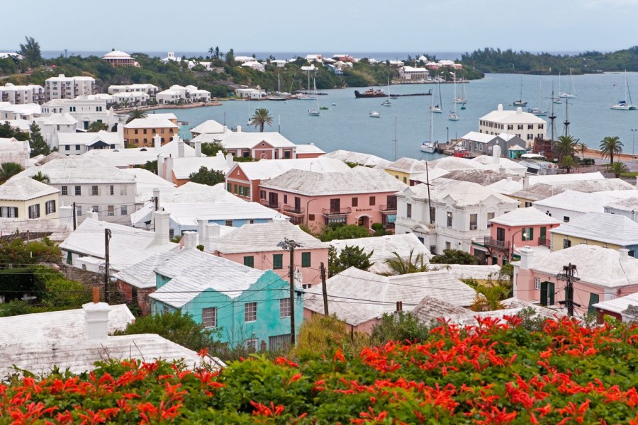 Lessons from Bermuda: A conversation with Shaun Lavis | Island City Lab