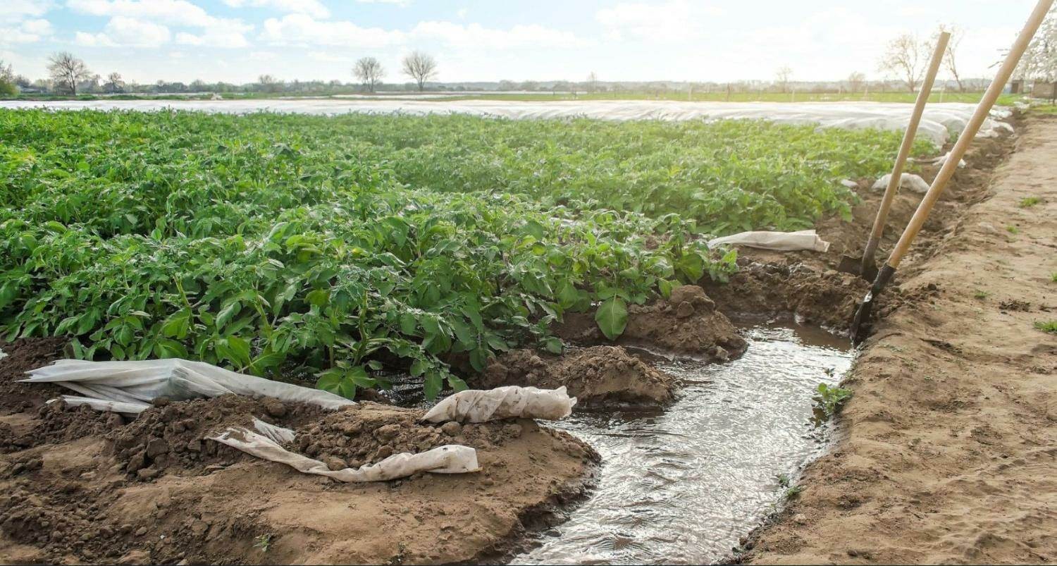 The Management of our Water Resources | Island City Lab