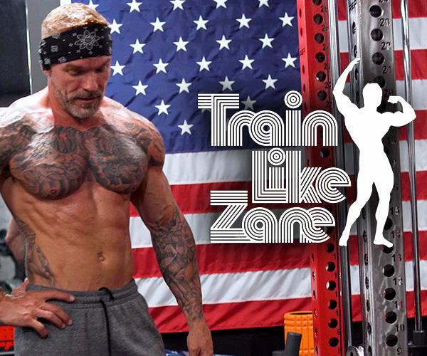 Train Like Zane Train Like Frank Zane - Day 13 - Push Day & Talking ...
