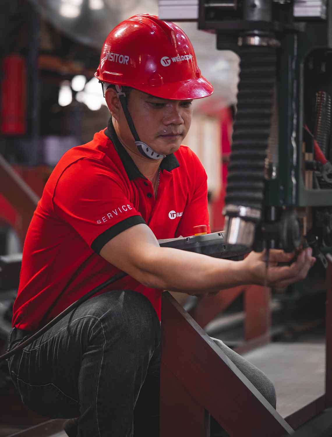 Certification Checks | spacebands