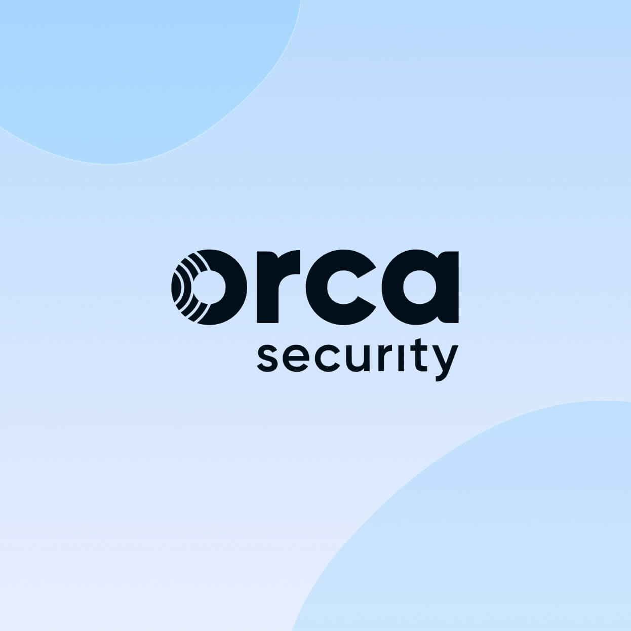Orca Security's Case Study | Vendict