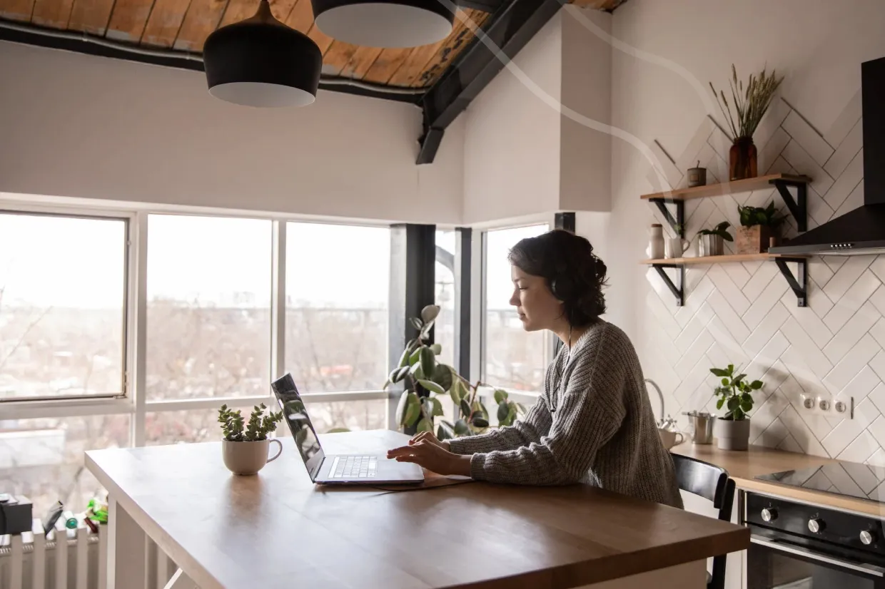 Learn Web Development in 2024