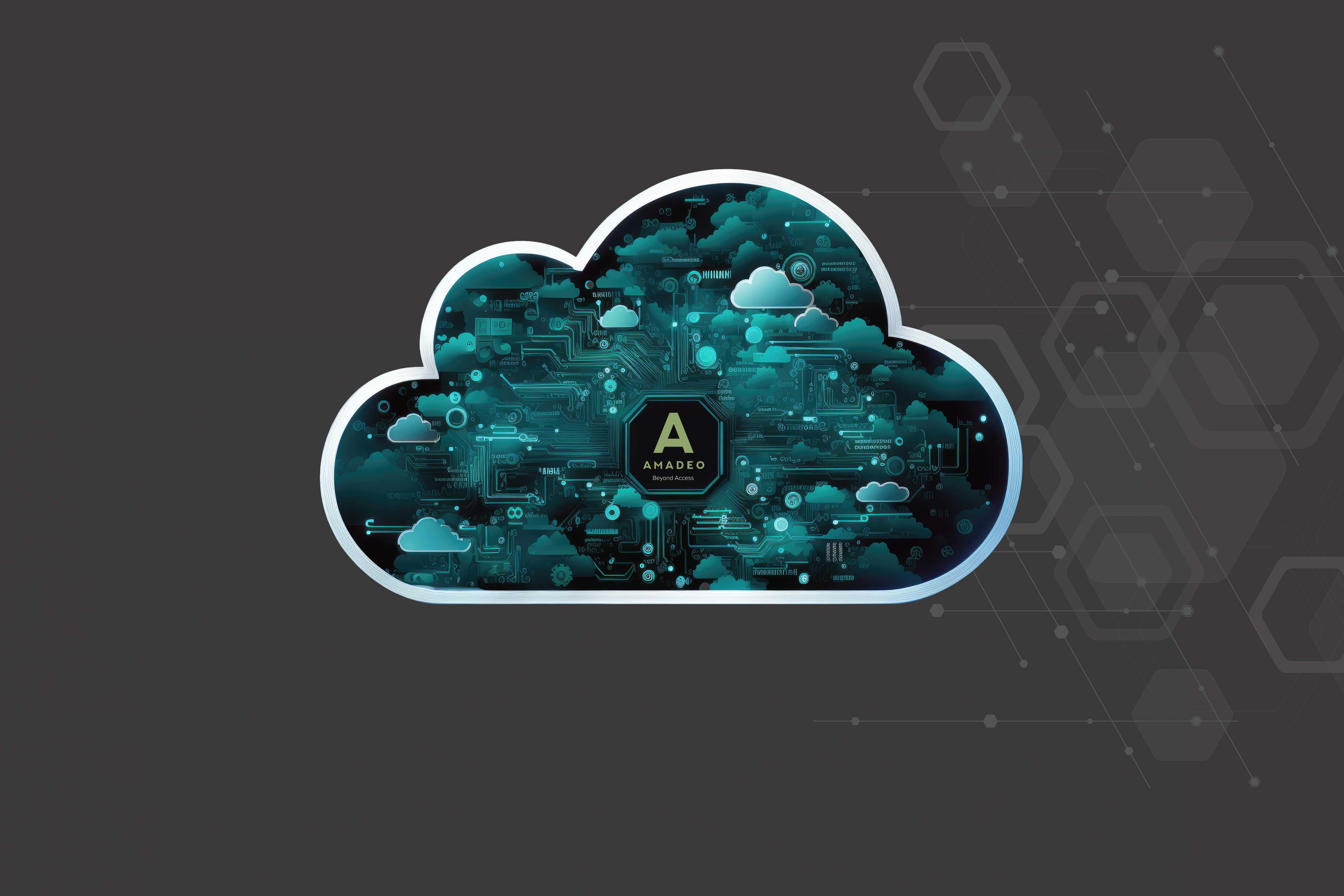 Cloud Based - AMADEO