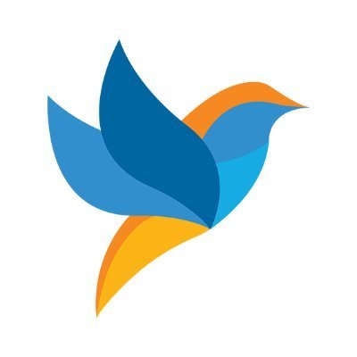 Chirper Review: Our Insider Tips and Verdict [2024]