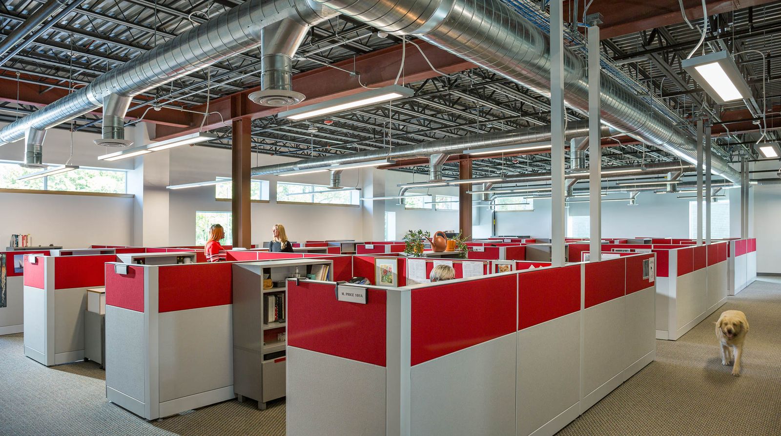 Middlebury College Computer Science and Multi-Use Building
