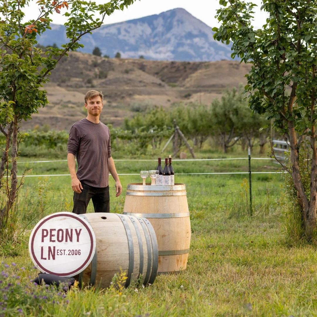 Oshi | Bitcoin Infused Rewards & Loyalty