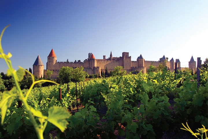 Le Relais du Vigneron | Vins de Languedoc-Roussillon