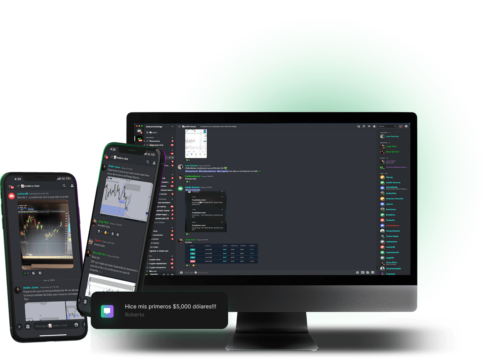 Abacus Experience: Programa Educativo de Stock Market Online