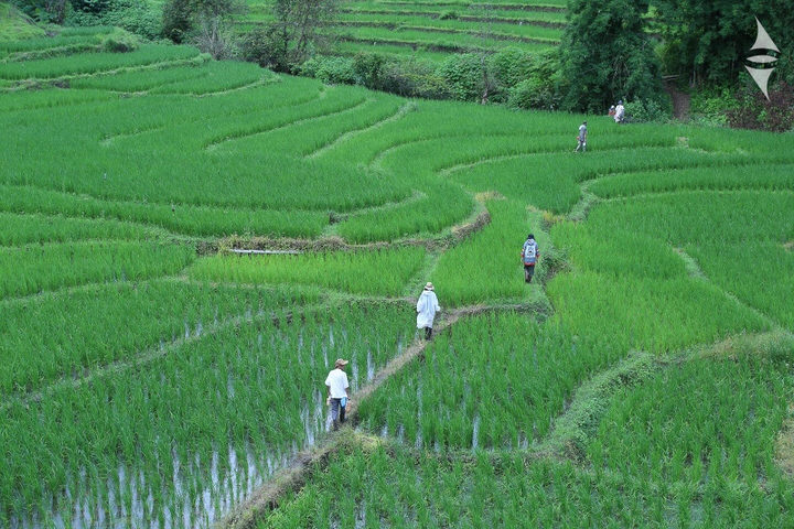 หวนคิดคำนึง ถึง Doolaylay โฮมสเตย์ที่พอ..ดีต่อใจ