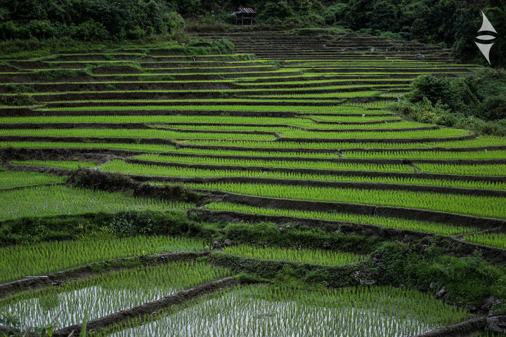 หวนคิดคำนึง ถึง Doolaylay โฮมสเตย์ที่พอ..ดีต่อใจ