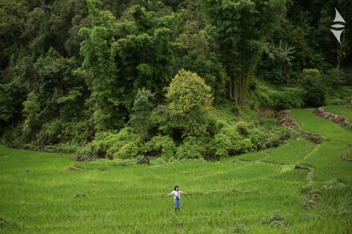 หวนคิดคำนึง ถึง Doolaylay โฮมสเตย์ที่พอ..ดีต่อใจ