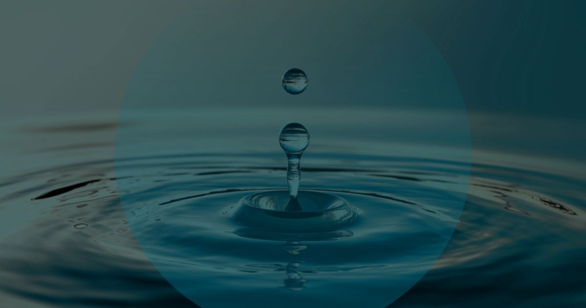 Contact Us | Alpheus