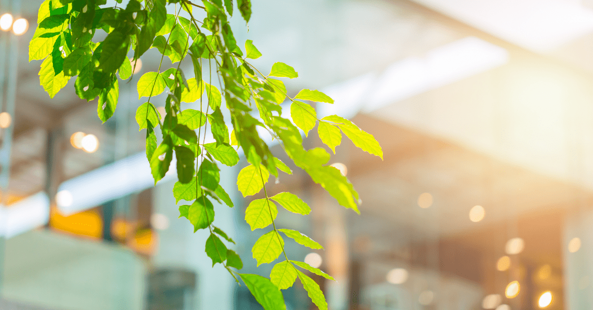 Environmental Trends in Business in 2022