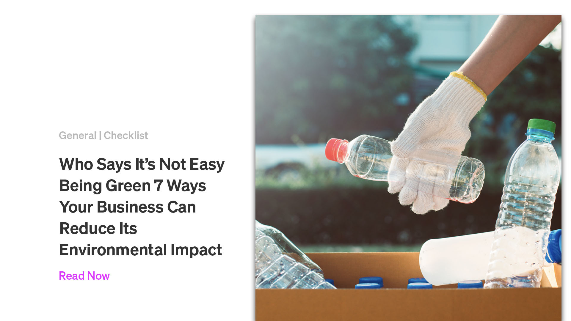 7 Ways Your Business Can Reduce Its Environmental Impact