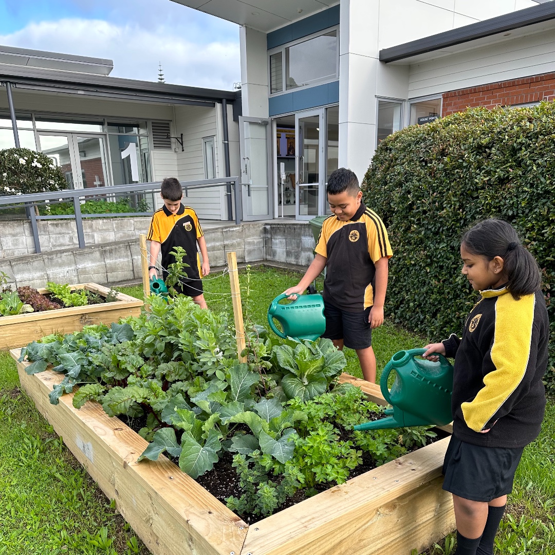 Kindness Collective | Wraparound Support