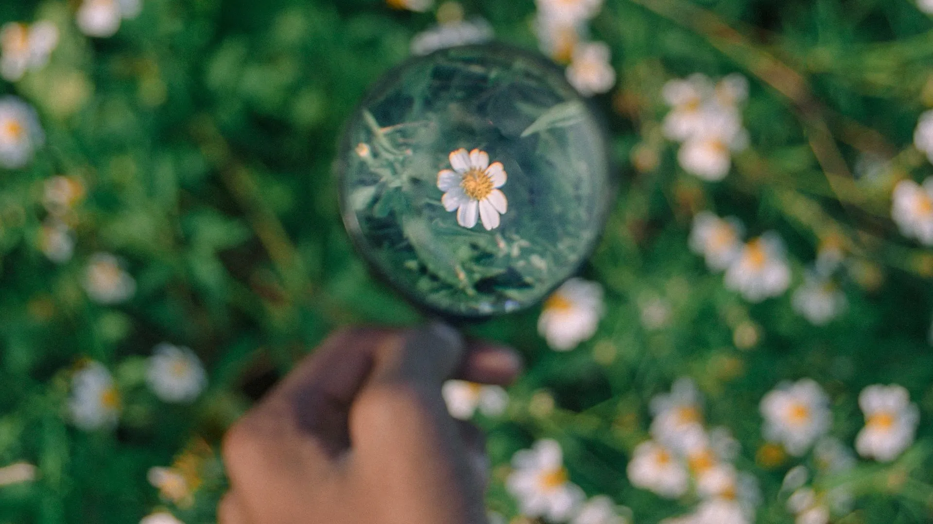 Leading with the Significance StrengthsFinder Talent - Everyday Design