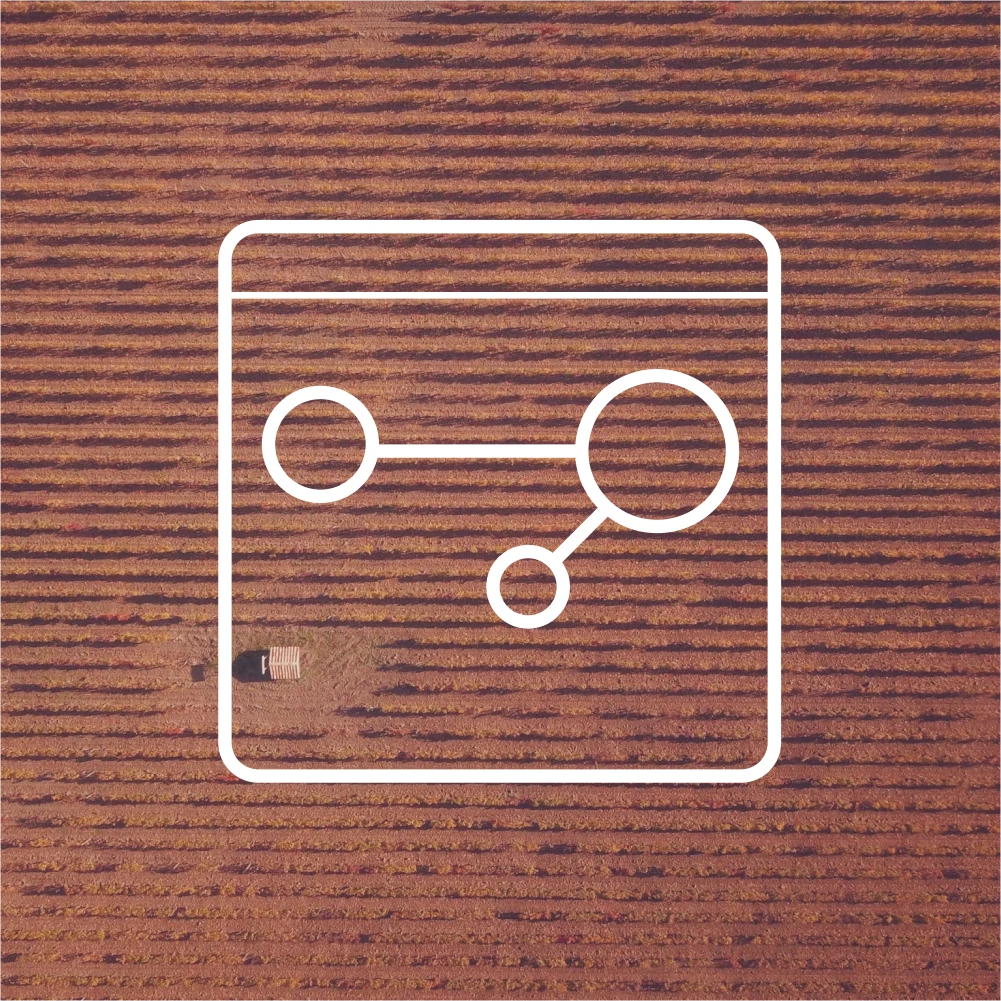 Loka Design & App Development - Outstanding Digital Experiences