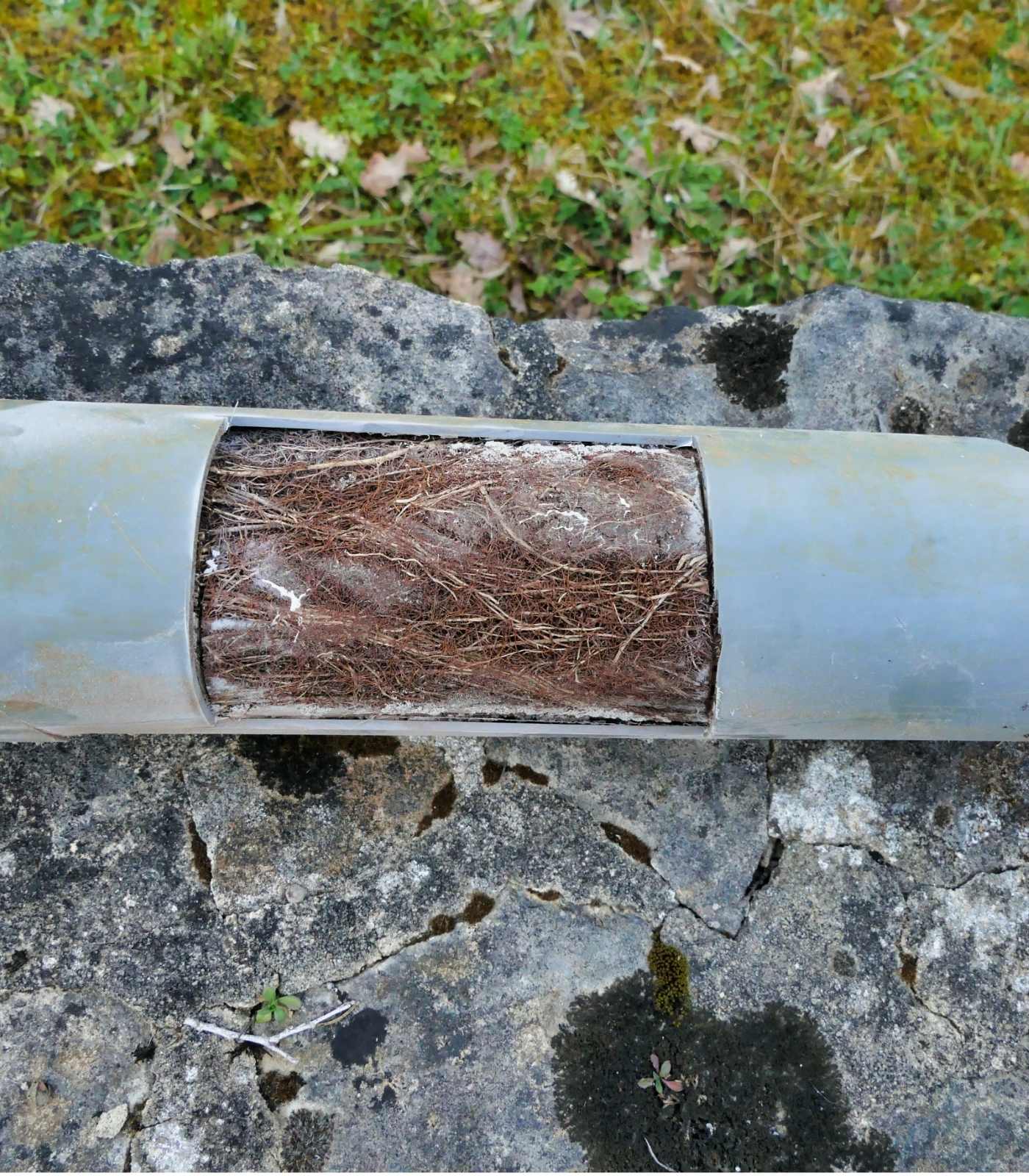 Expert Drainage Repair Contractors in Seattle WA | ACES FOUR