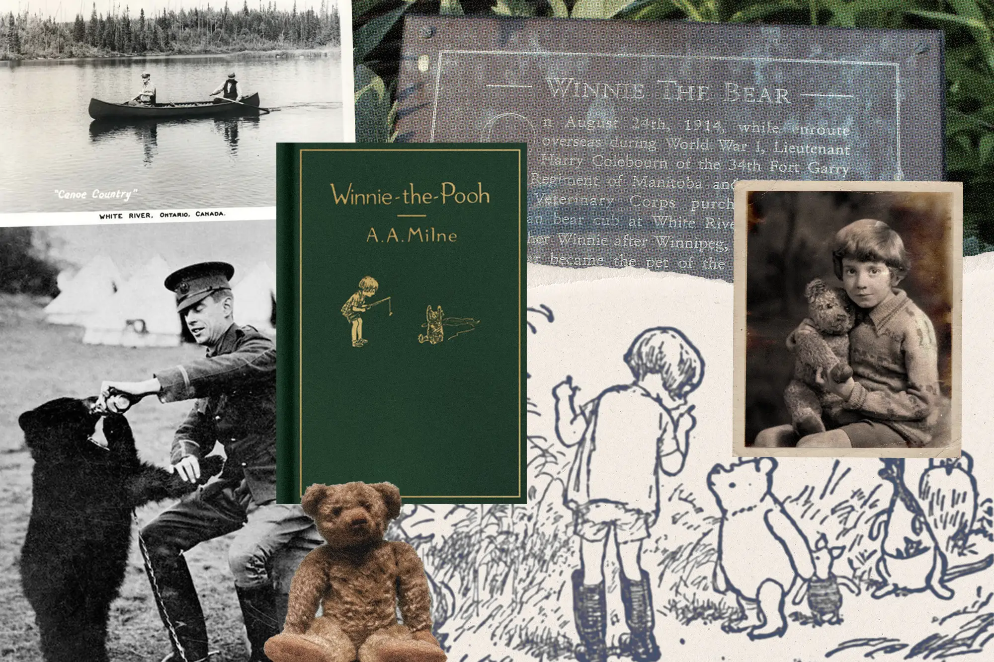 The Real Bear and the Real Boy Who Inspired Winnie the Pooh