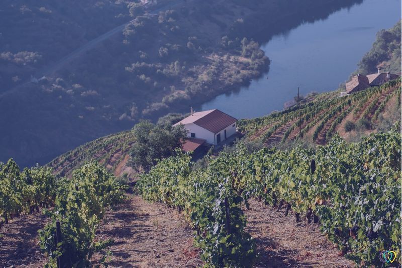 Three Types of Community Engagement: Examples, Tools & Benefits