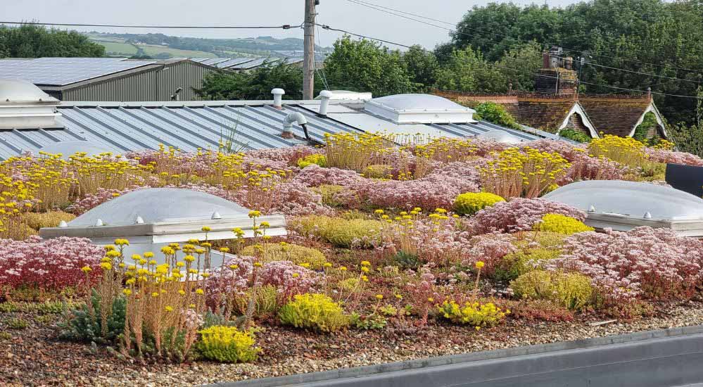 Solutions | ICS - Industrial Roofing and Cladding