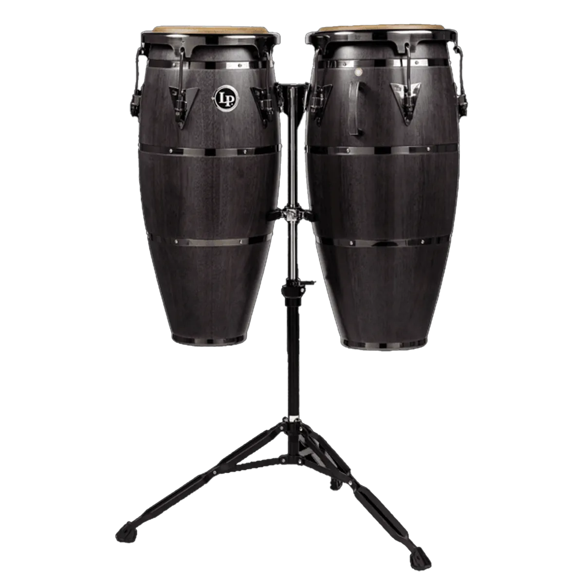 Conga Drumhead Guide | Remo