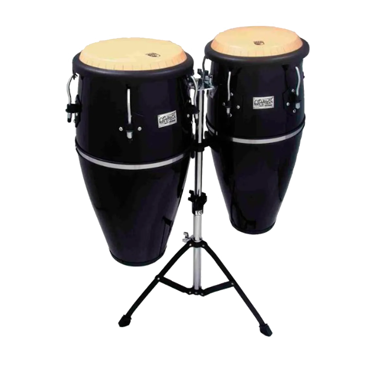 Conga Drumhead Guide | Remo