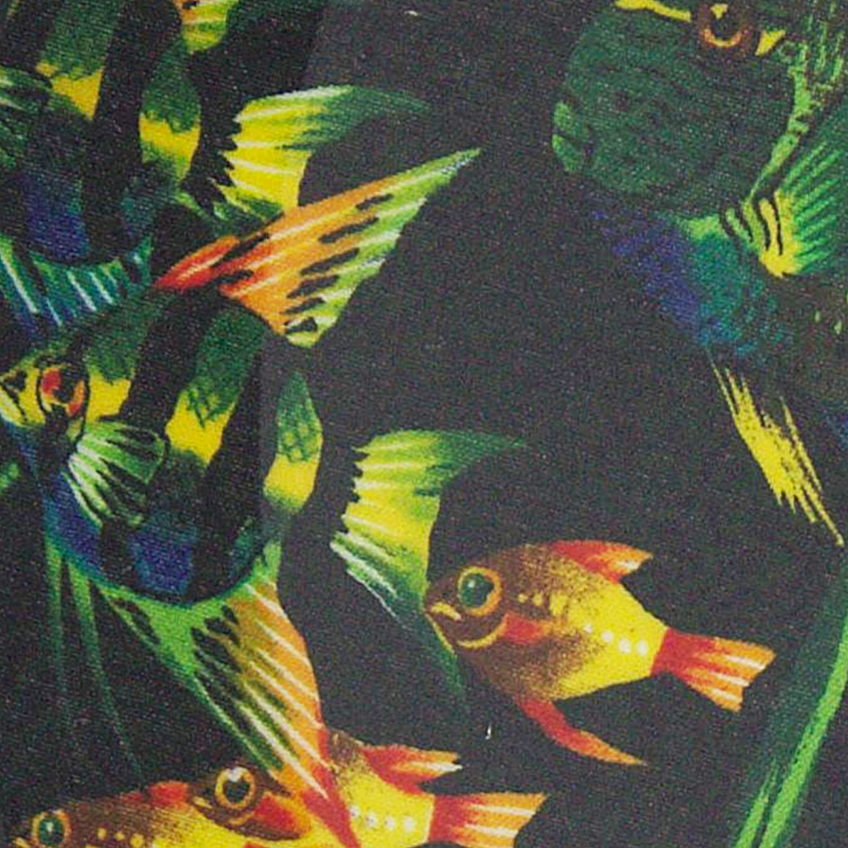 Finish: Fish Graphic | Remo