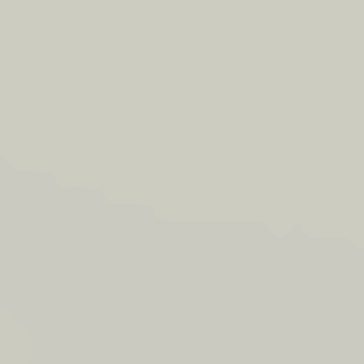 Finish: Hazy White | Remo